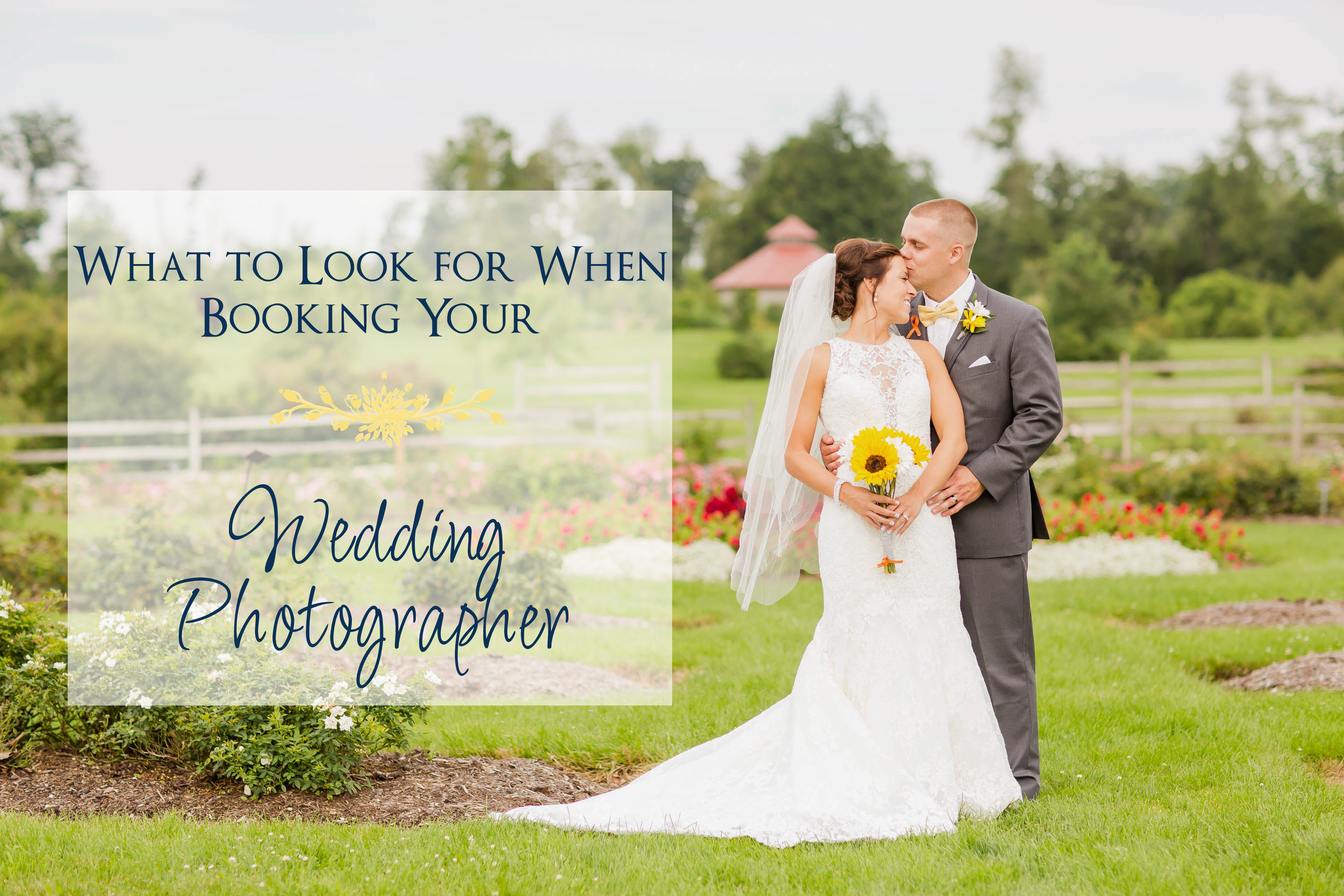 What to Look for When Booking Your Wedding PhotographerWedding ...
